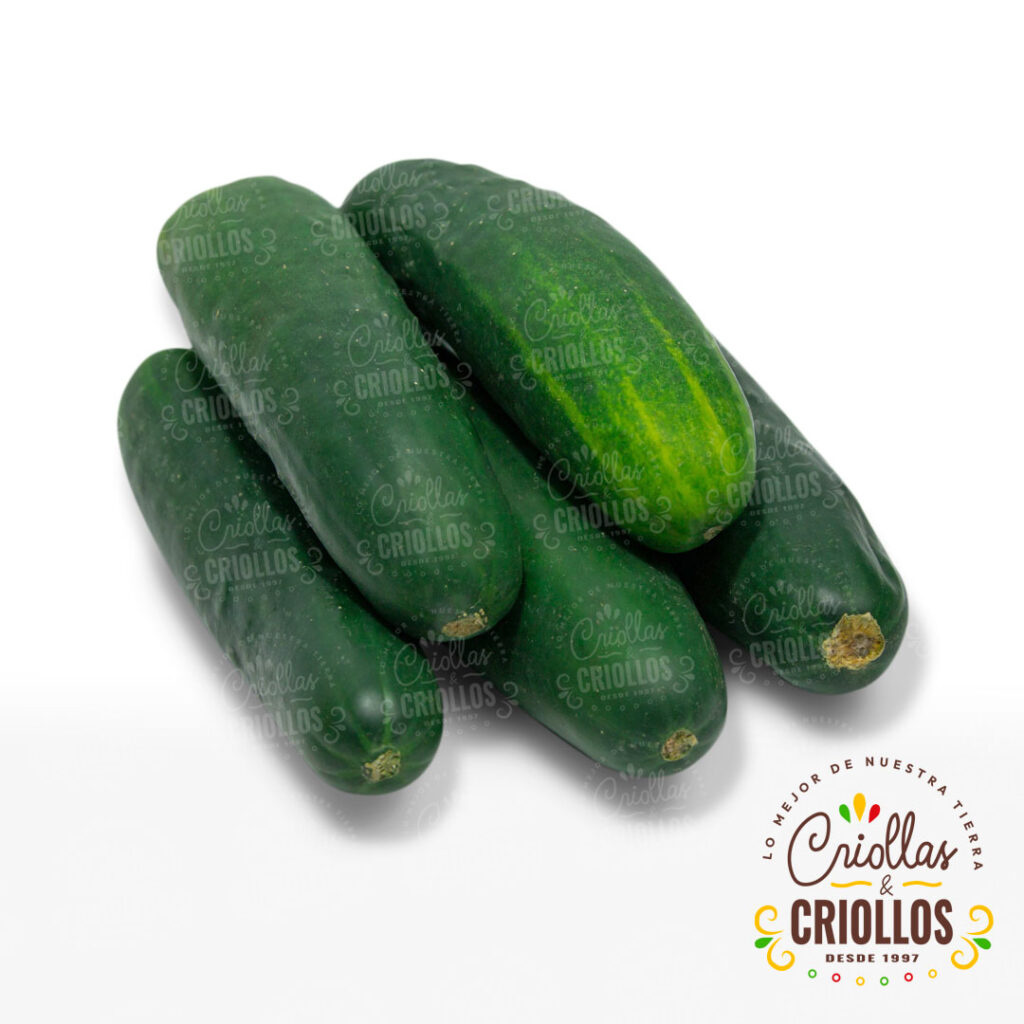 Pepino – criollasycriollos.com